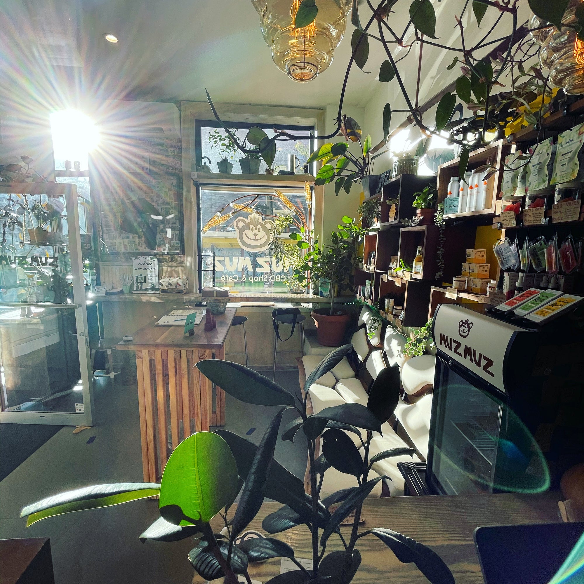 Brooklyns first Cannabis Café | Muz Muz Shop & Café