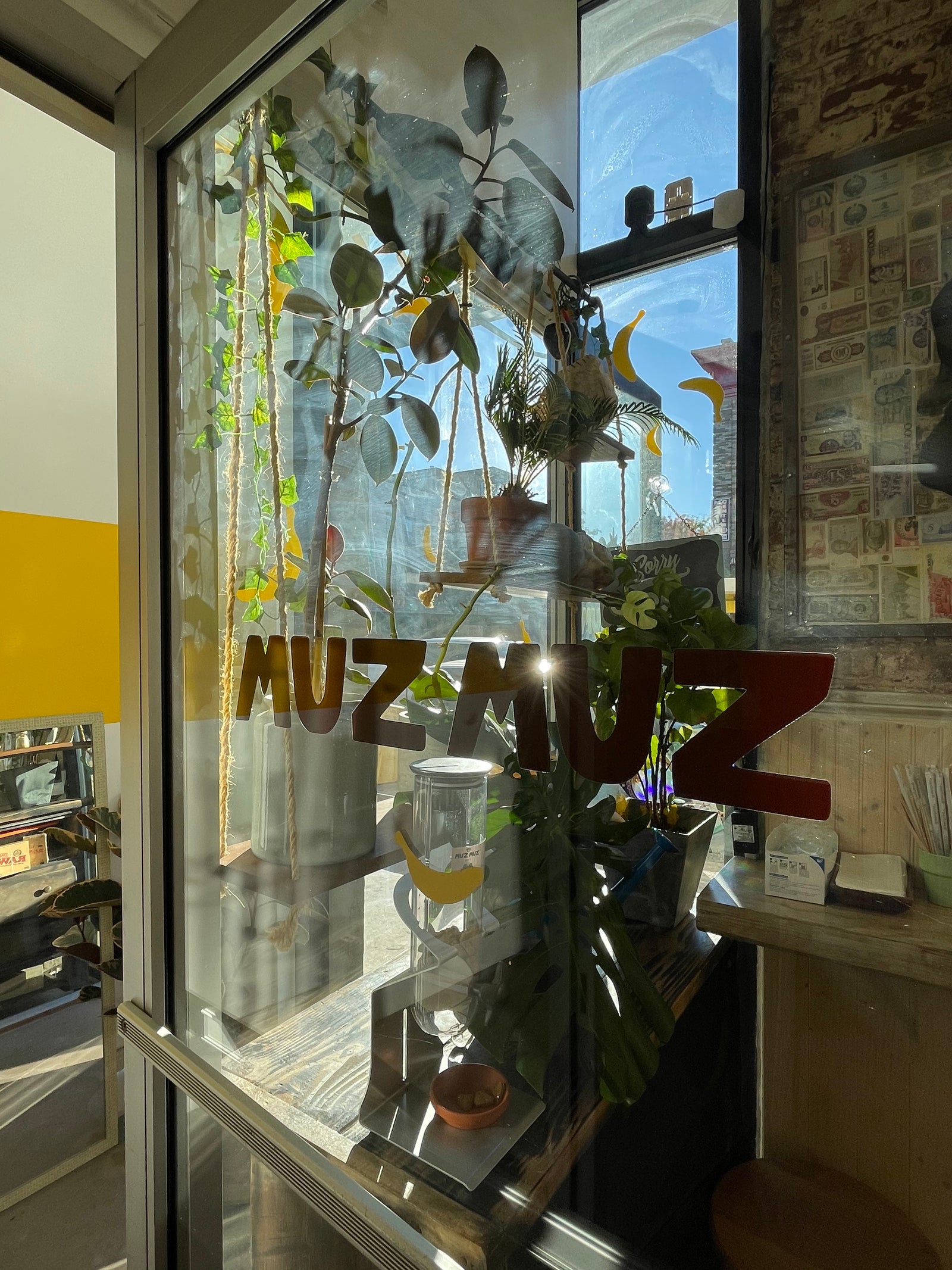 Brooklyns first Cannabis Café | Muz Muz Shop & Café